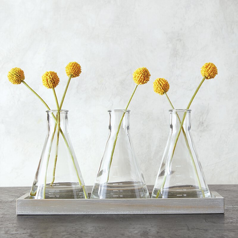 Glass Beaker Vase - Trio Set - Vases | Artisanal – Artisanal New Zealand
